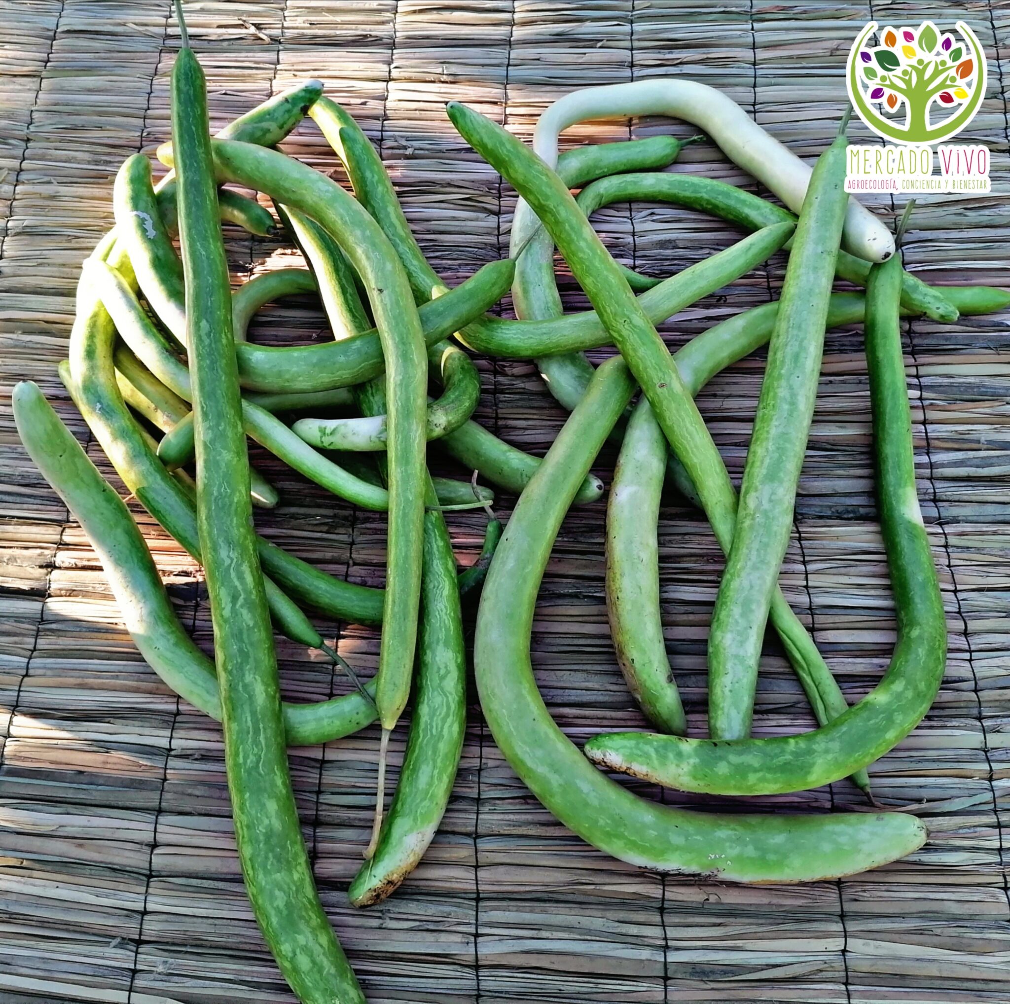 Calabaza Serpiente de Sicilia - Mercado Vivo
