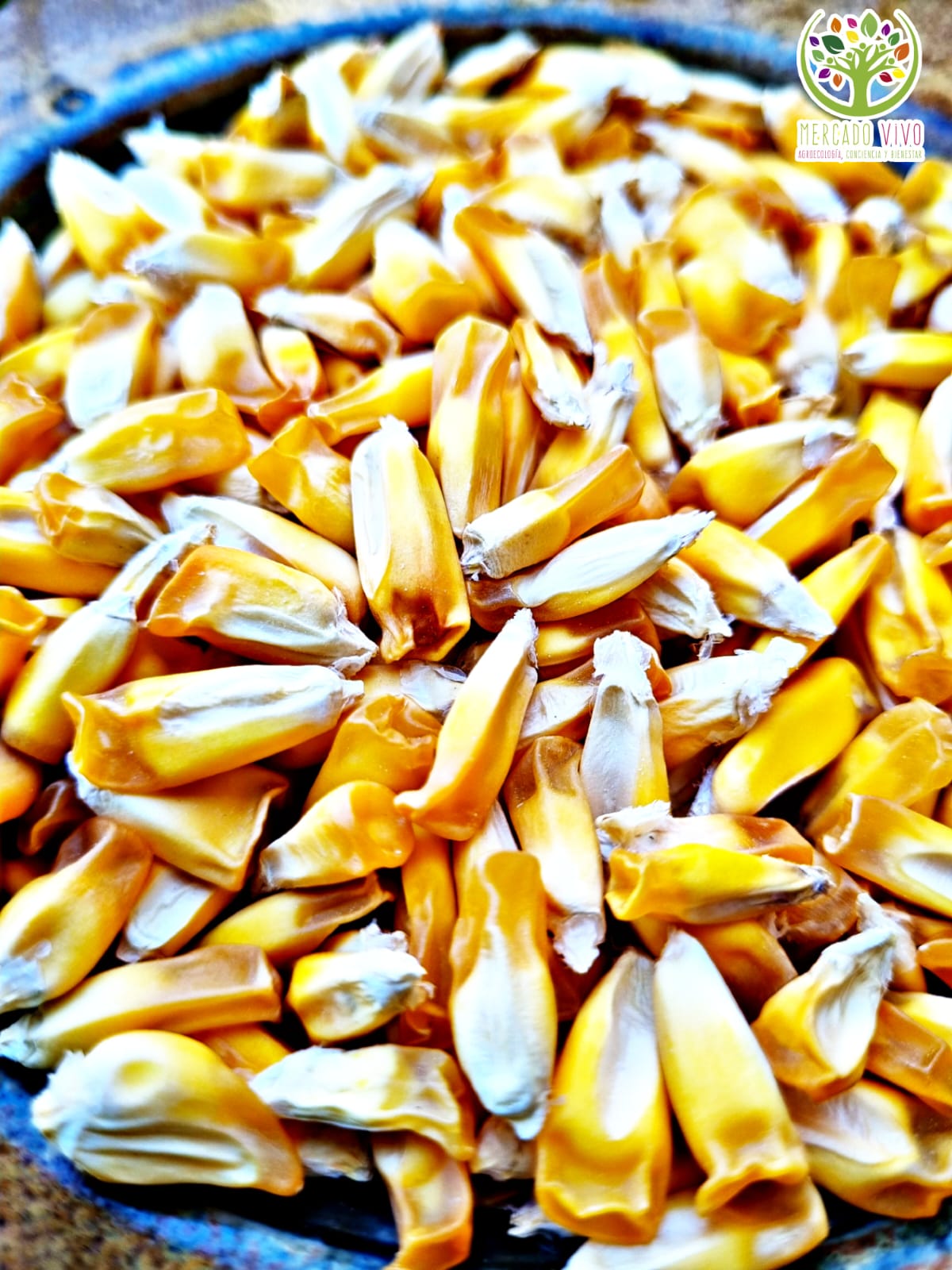 Maíz Chulpi - Mercado Vivo