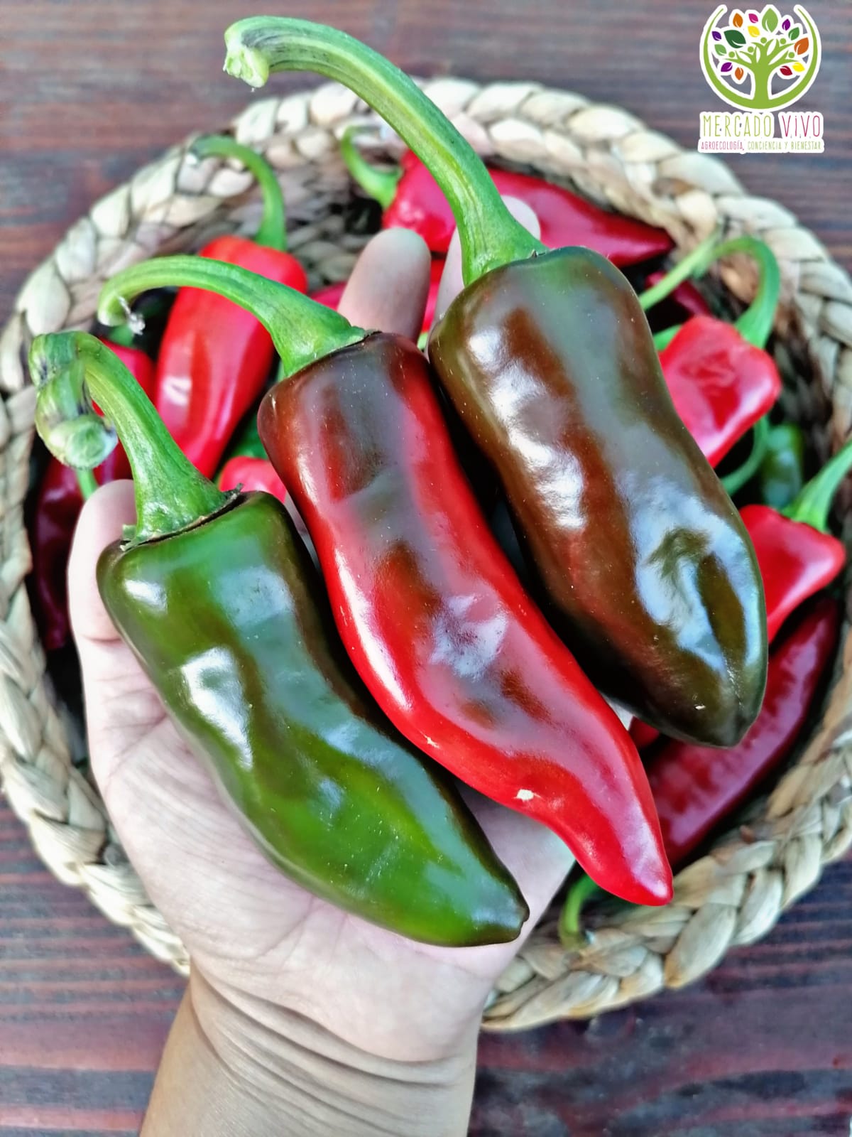 Pimiento de Espelette o Ezpeleta - Mercado Vivo