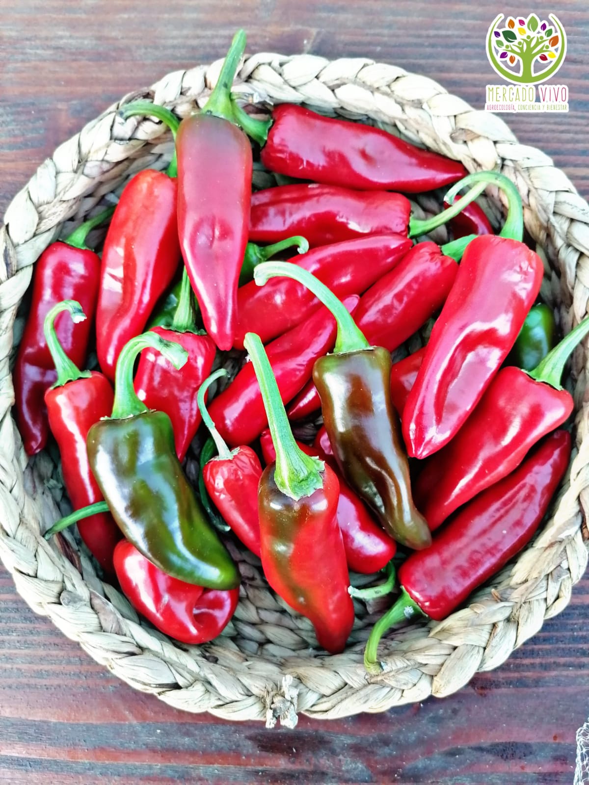 Pimiento de Espelette o Ezpeleta - Mercado Vivo